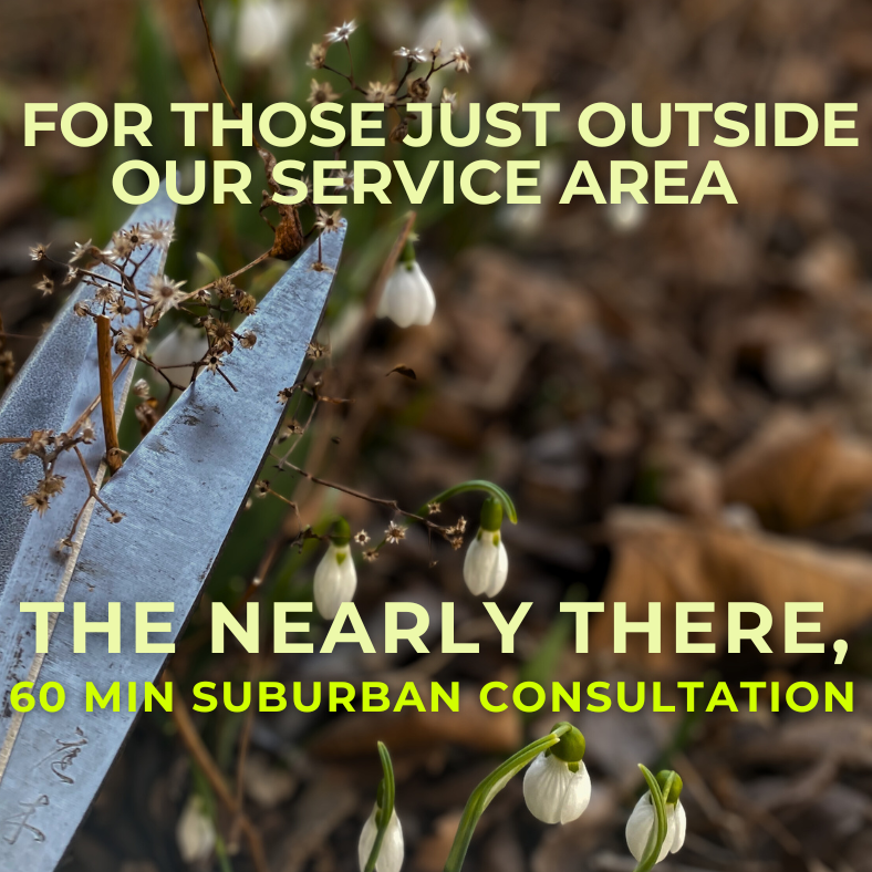 Suburban "Nearly There" Garden Consultations - 60 Min – Vivant Gardens